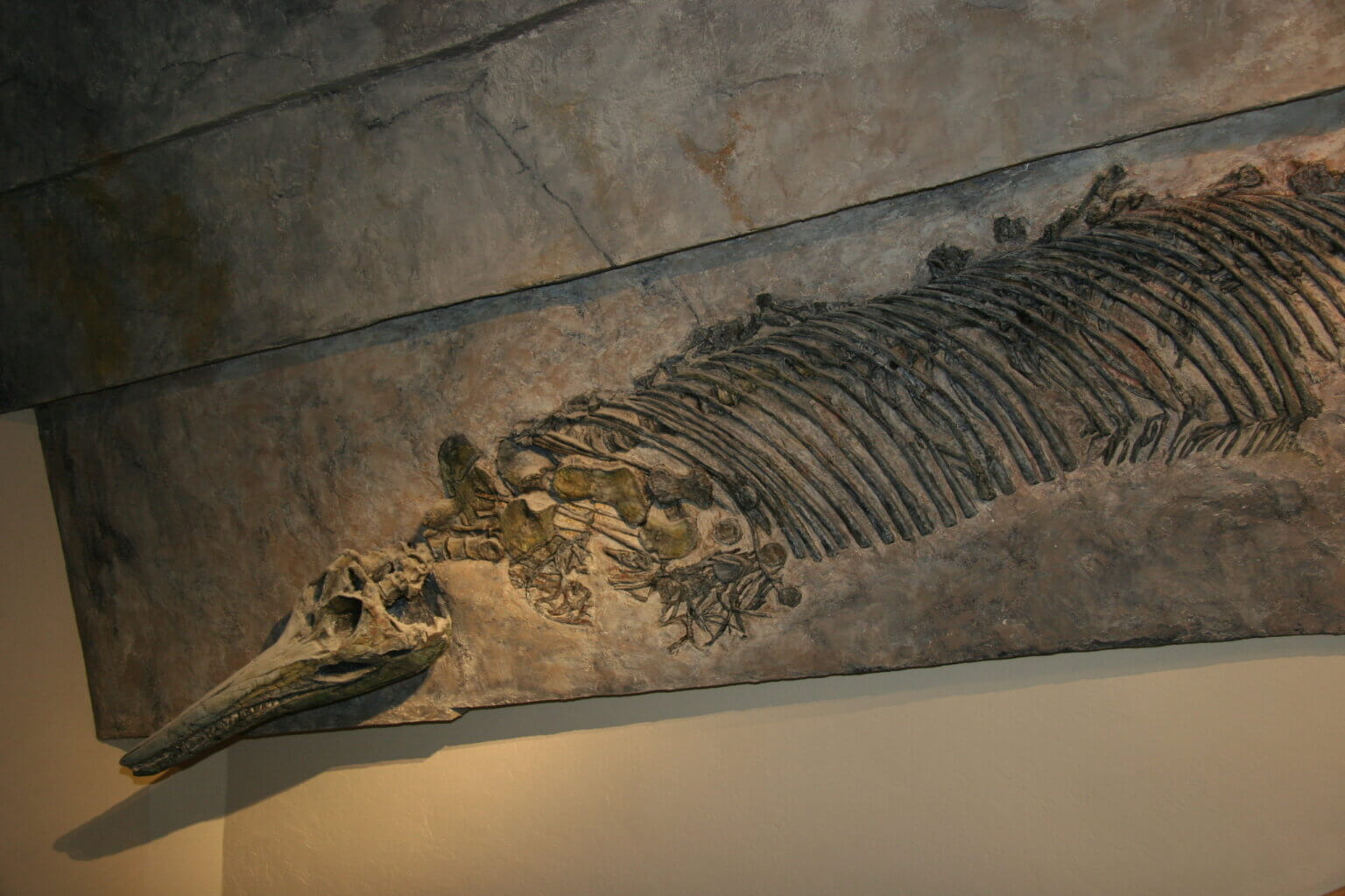 Exhibits | Nevada State Museum | Carson City